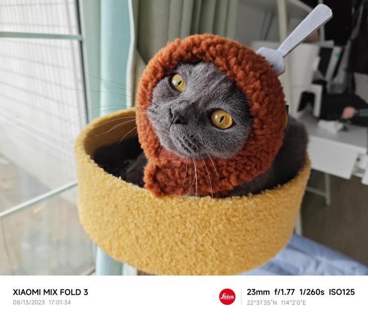 Xiaomi Mix Fold 3 review - PingWest